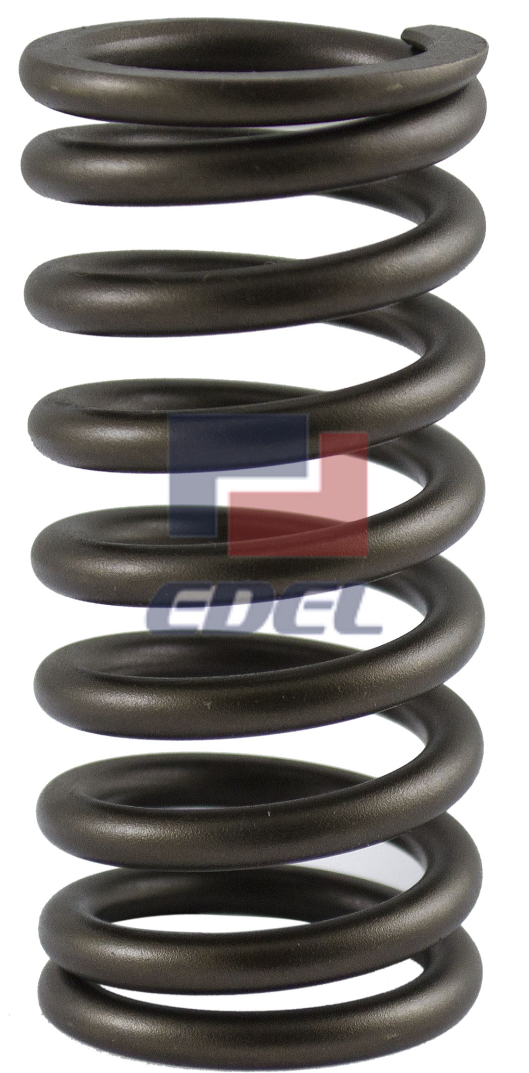 VALVE SPRING OUTER - Edel